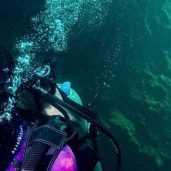 Photos os Scuba Diving in Kauai | Fathom Five Divers