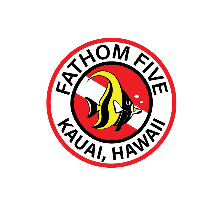 About diving in Kauai | Fathom Five Divers